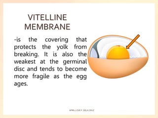 Q1-LESSON_1_LO2-EGG_STRUCTURE..ppt