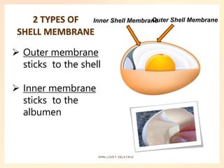 Q1-LESSON_1_LO2-EGG_STRUCTURE..ppt