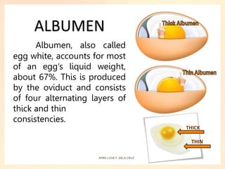Q1-LESSON_1_LO2-EGG_STRUCTURE..ppt