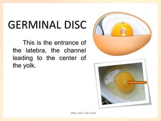 Q1-LESSON_1_LO2-EGG_STRUCTURE..ppt
