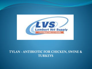 Tylan - Antibiotic for Chicken, Swine & Turkeys | PPT | Free Download