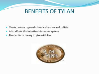 Tylan - Antibiotic for Chicken, Swine & Turkeys | PPT | Free Download
