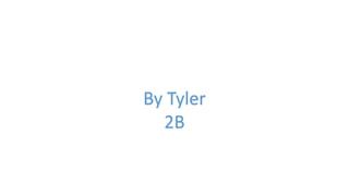 Tyler | PPT