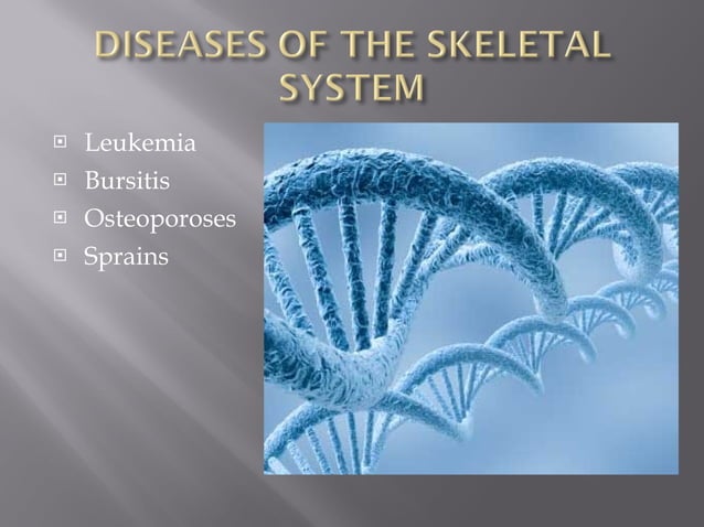 Tyler dolan skeletal system | PPT | Bone and Joint Conditions ...