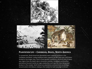 Tyler Marcellus - Atlantic Slave Trade | PPT