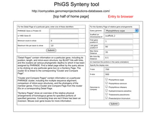 Tyler phringe fri 1120 | PPT | Free Download