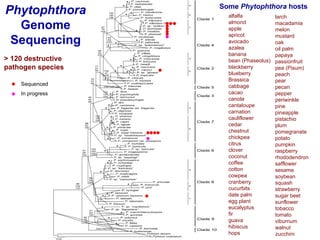 Tyler presentation | PPT