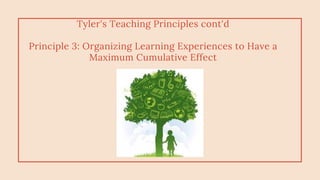Tylers curriculum model | PDF