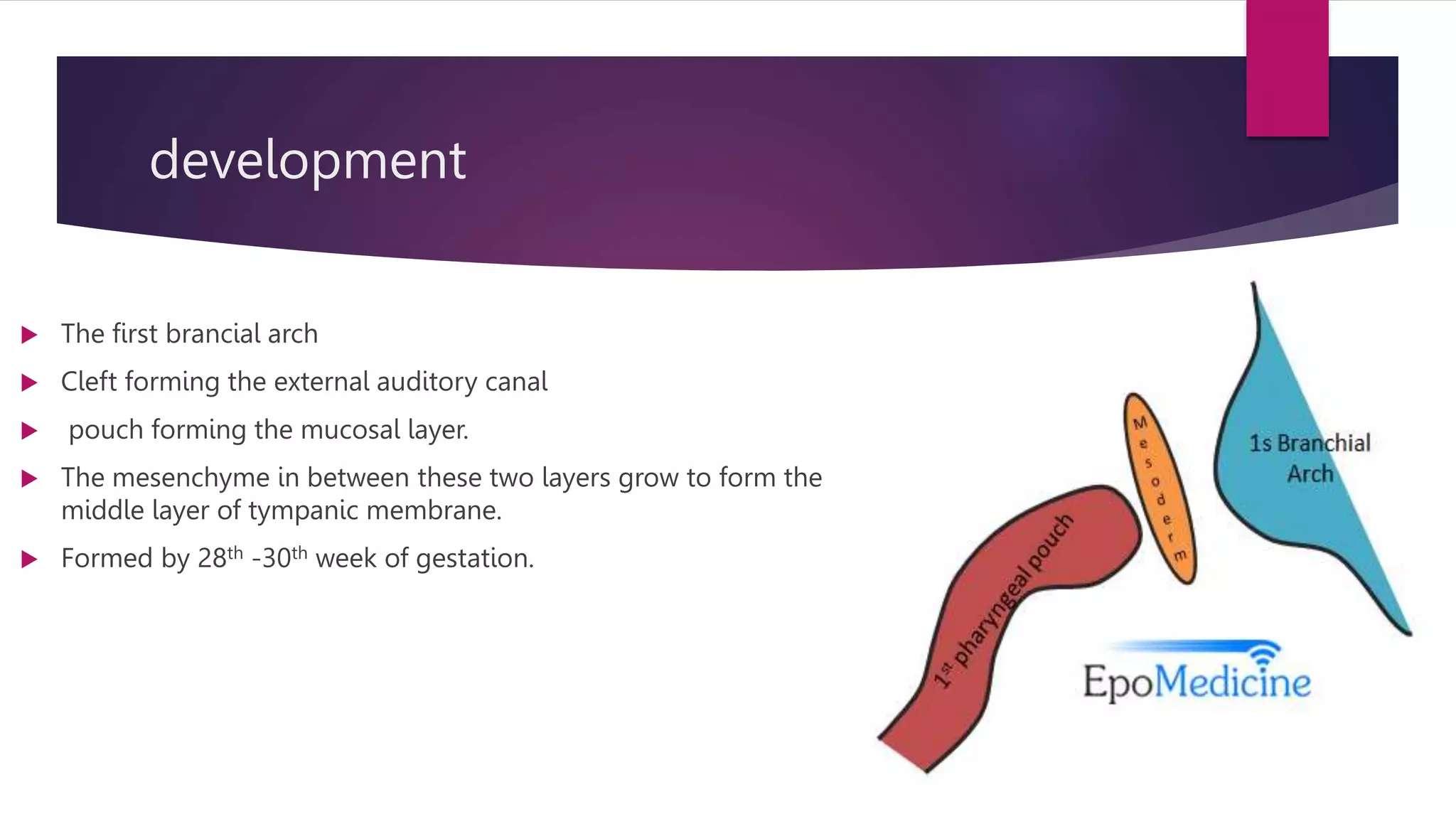 Tympanic membrane.pptx