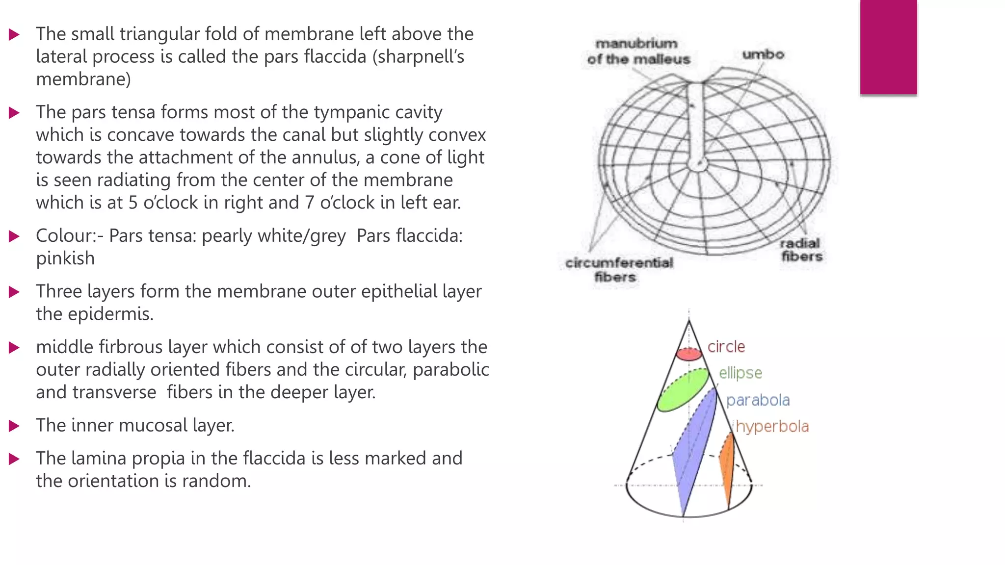 Tympanic membrane.pptx