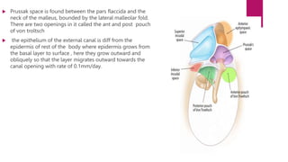 Tympanic membrane.pptx