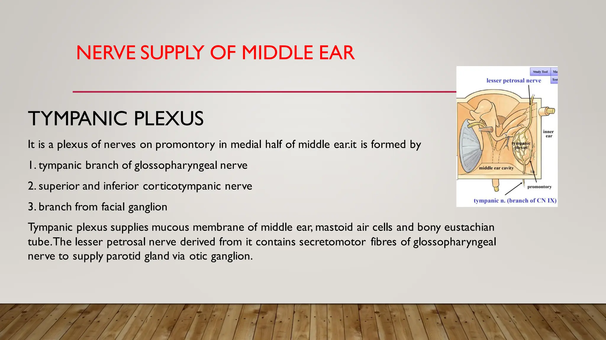 TYMPANIC MEMBRANEAND BLOOD AND NERVE SUPPLY OF MIDDLE EAR.pdf