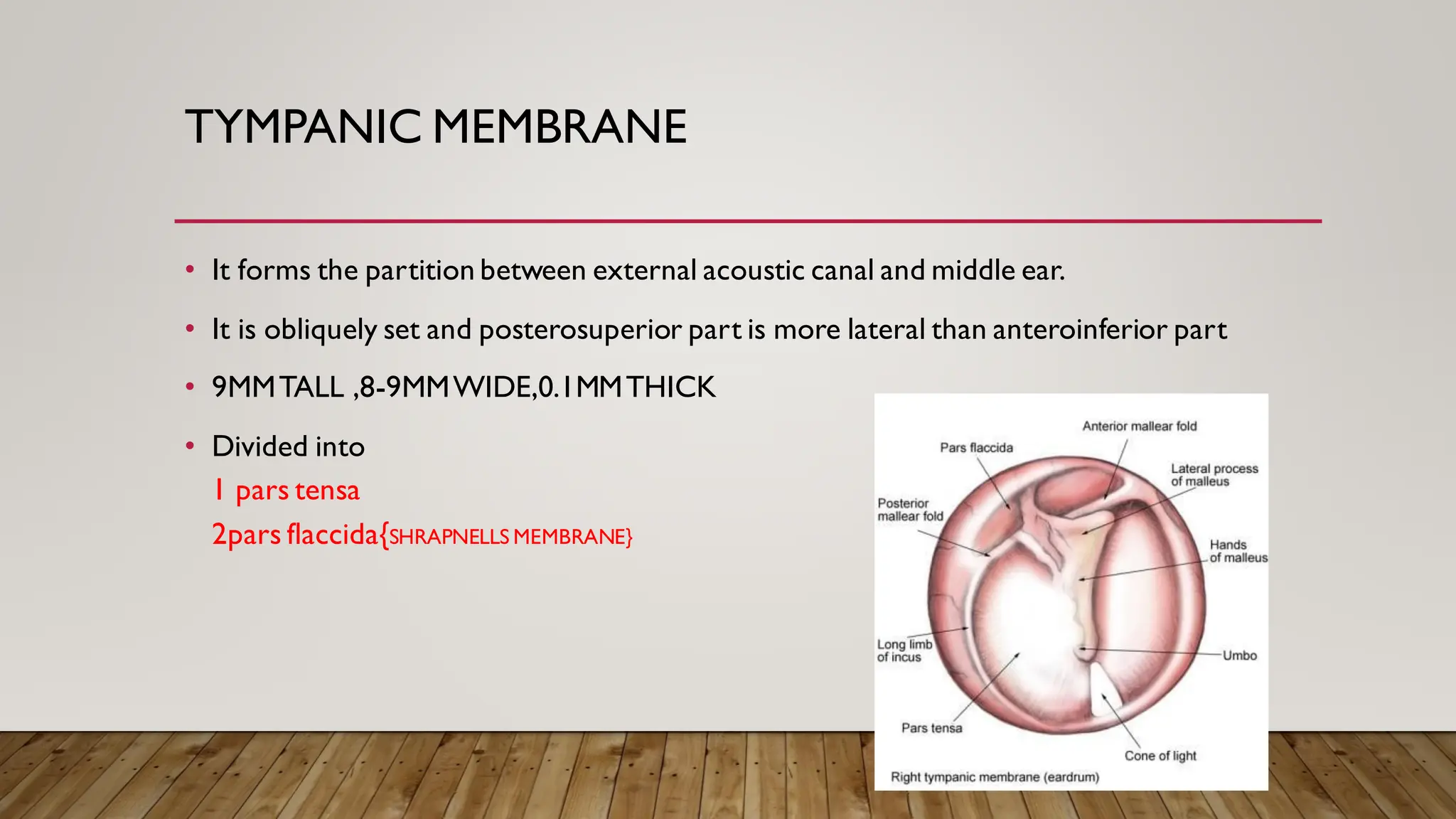 TYMPANIC MEMBRANEAND BLOOD AND NERVE SUPPLY OF MIDDLE EAR.pdf