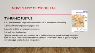 TYMPANIC MEMBRANEAND BLOOD AND NERVE SUPPLY OF MIDDLE EAR.pdf