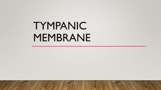 TYMPANIC MEMBRANEAND BLOOD AND NERVE SUPPLY OF MIDDLE EAR.pdf