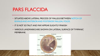 TYMPANIC MEMBRANEAND BLOOD AND NERVE SUPPLY OF MIDDLE EAR.pdf