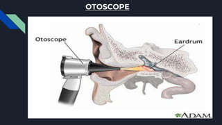 Tympanic membrane perforation.pptx