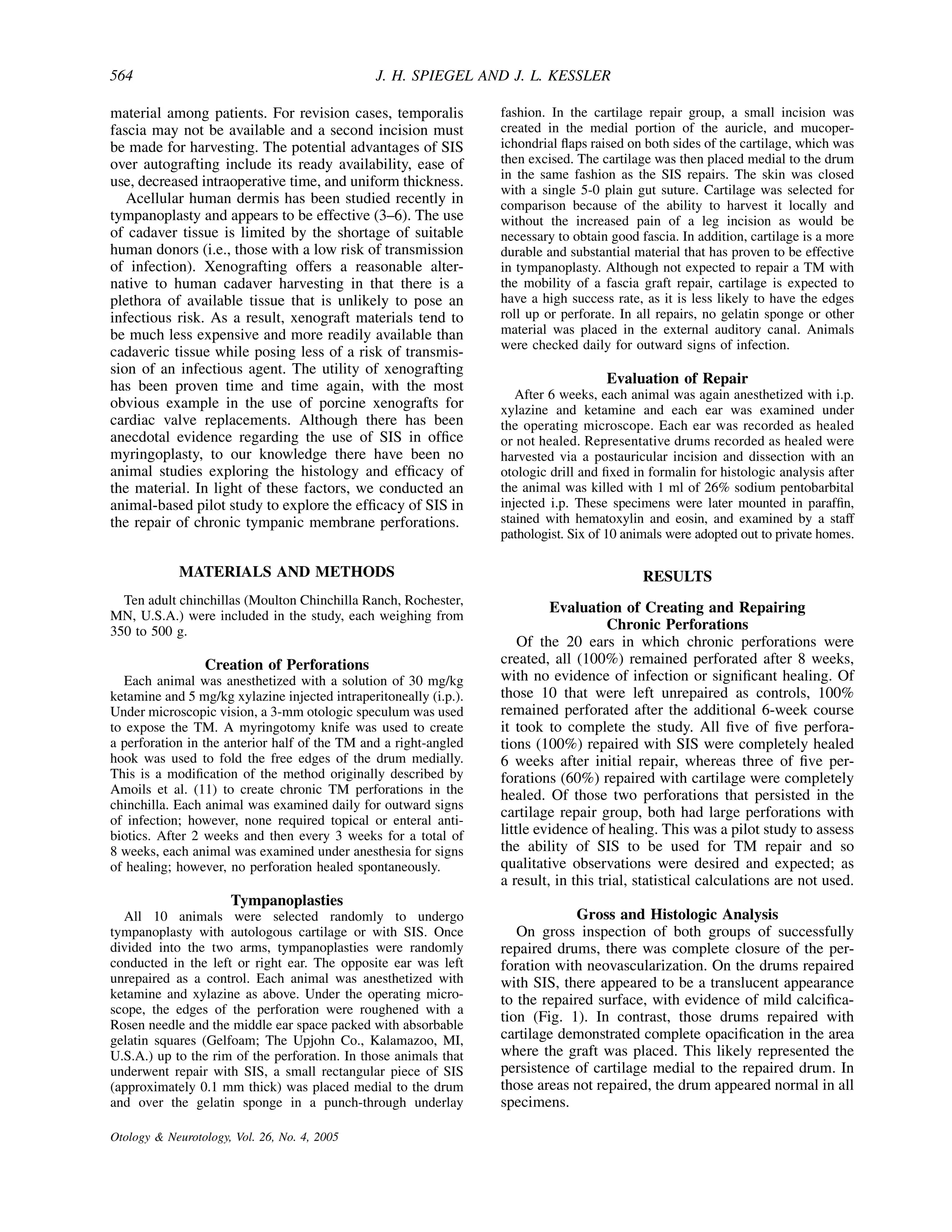 Tympanic Membrane Perforation Repair with Acellular Porcine Submucosa | PDF