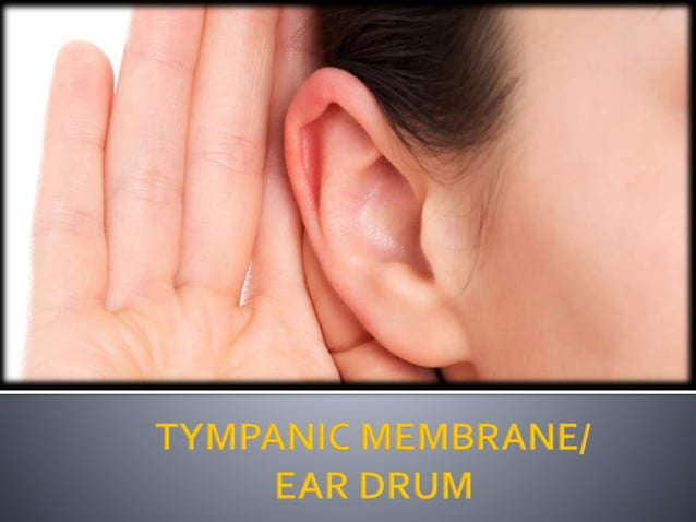 Tympanic Membrane ppt.pptx