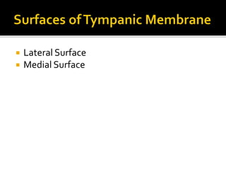 Tympanic Membrane ppt.pptx | Ear, Nose and Throat Conditions | Diseases ...