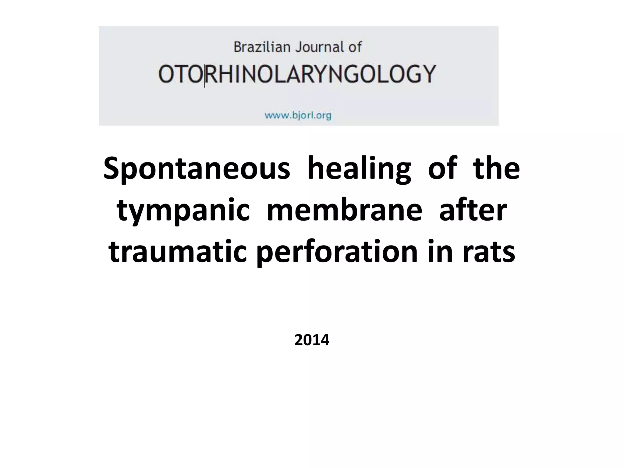 Tympanic perforation sponaneuos healing | PPT