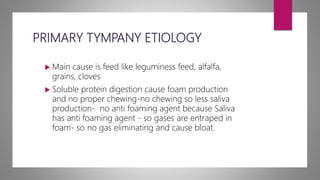 Tympany | PPTX