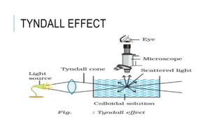 Scattering Of Light Tyndall Effect
