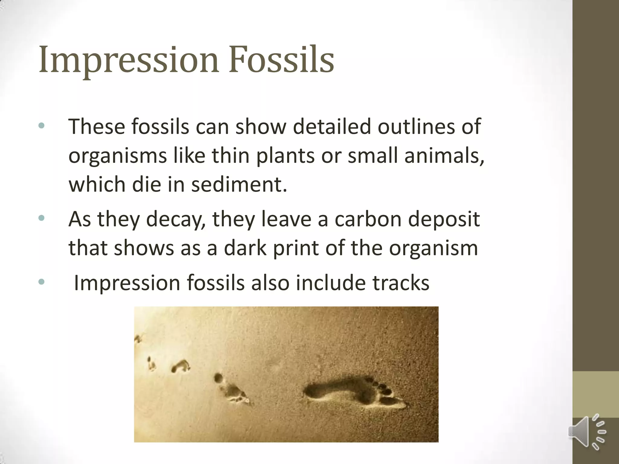 Types of fossils | PPSX