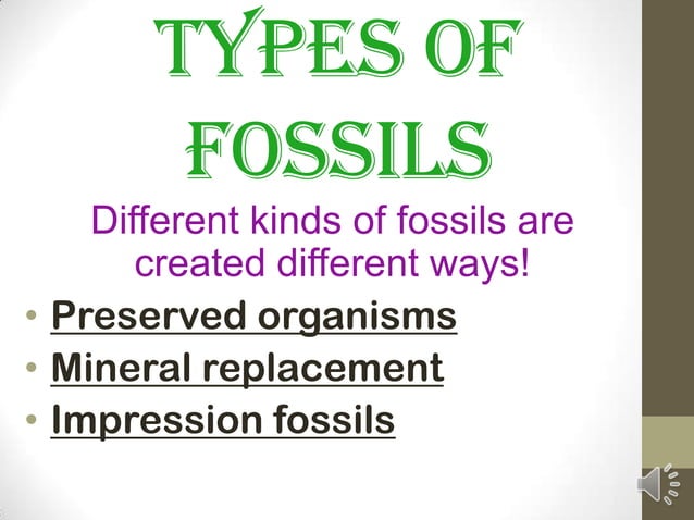 Types of fossils | PPSX | Geology | Science
