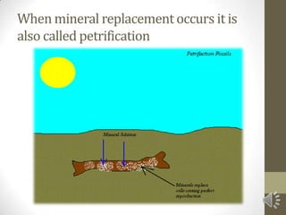 Types of fossils | PPSX