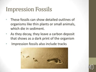 Types of fossils | PPSX