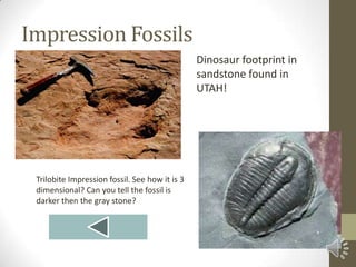 Types of fossils | PPSX