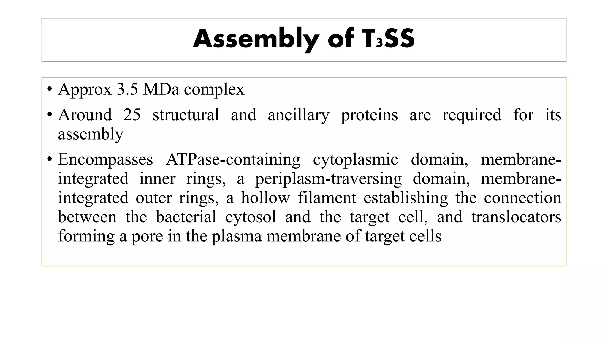 Type iii bacterial secretion system | PPTX