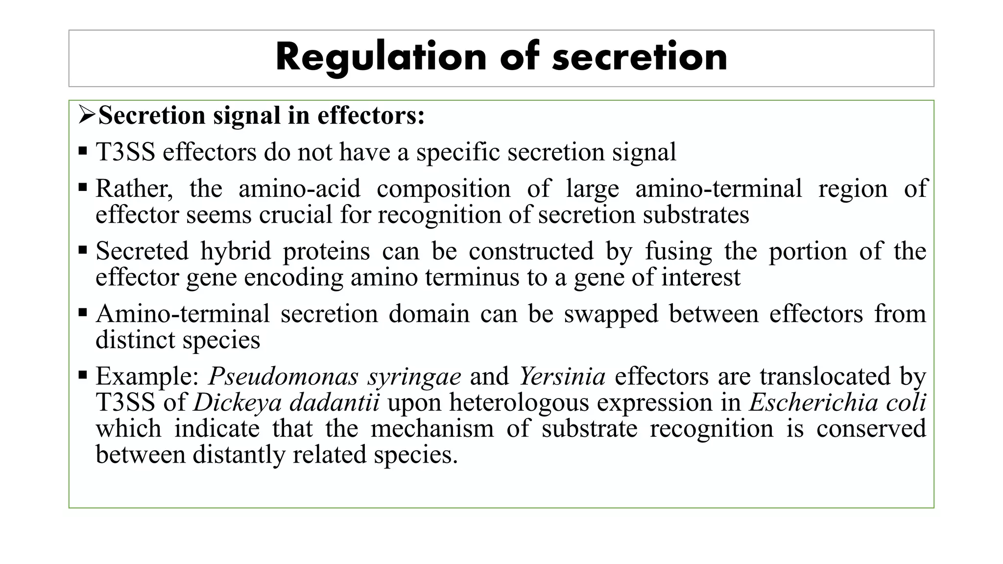 Type iii bacterial secretion system | PPTX