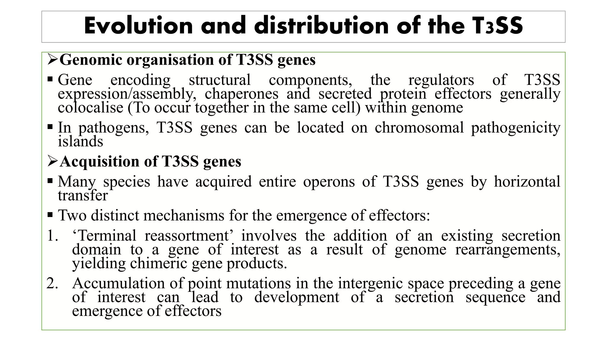 Type iii bacterial secretion system | PPTX