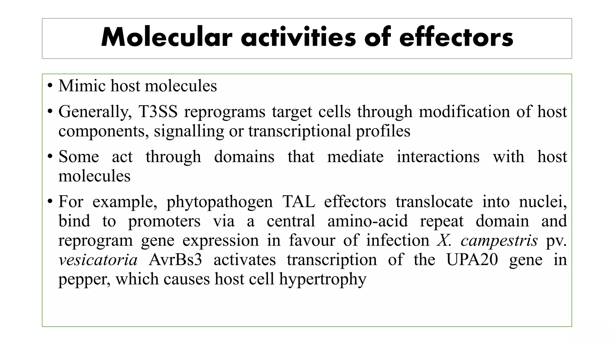 Type iii bacterial secretion system | PPTX