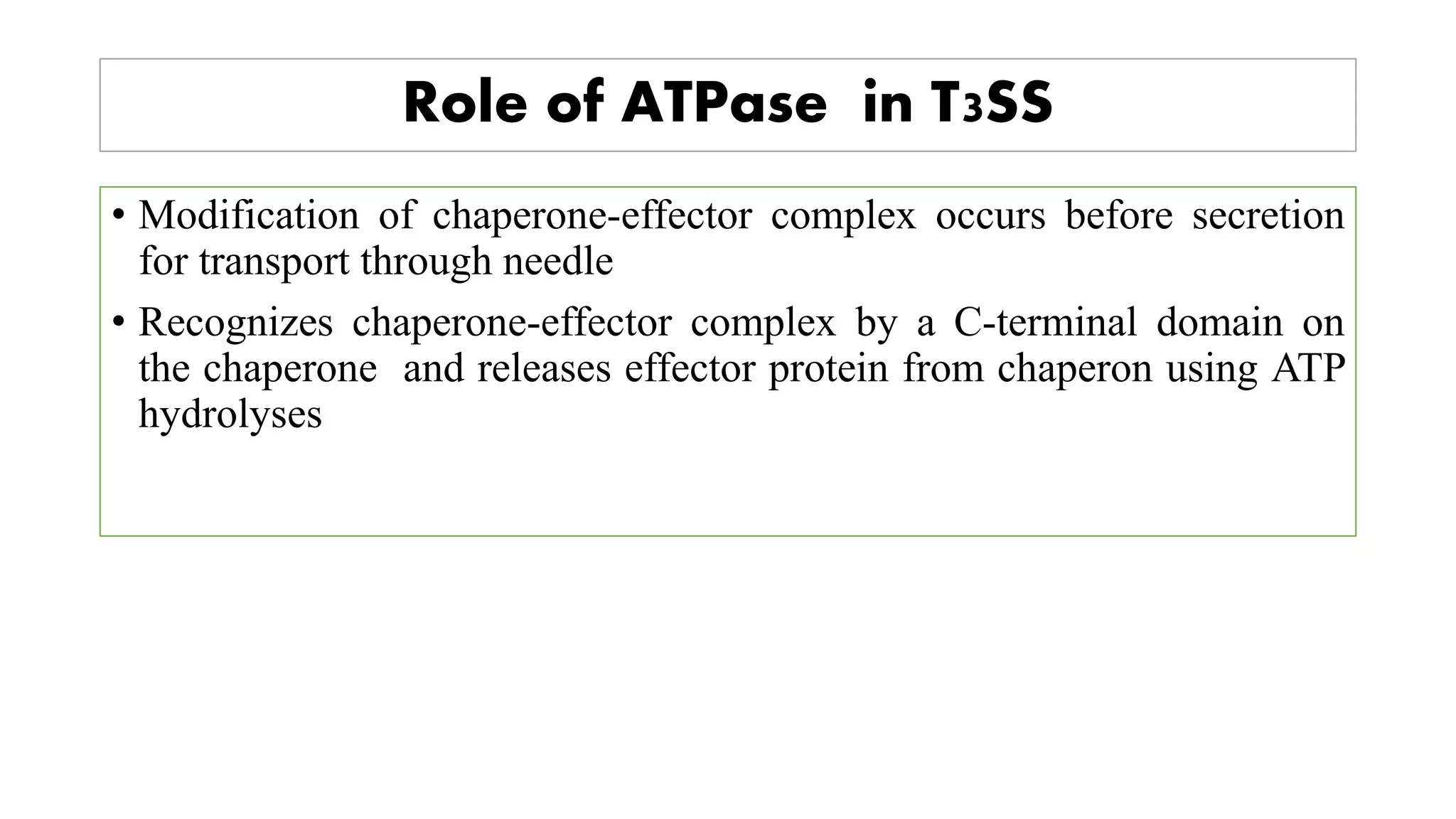 Type iii bacterial secretion system | PPTX