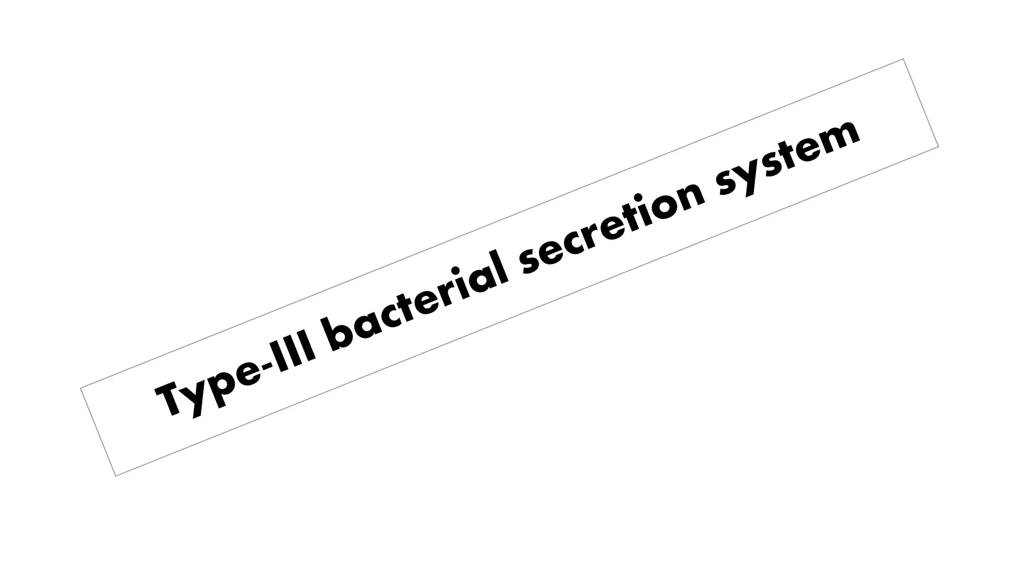Type iii bacterial secretion system | PPTX