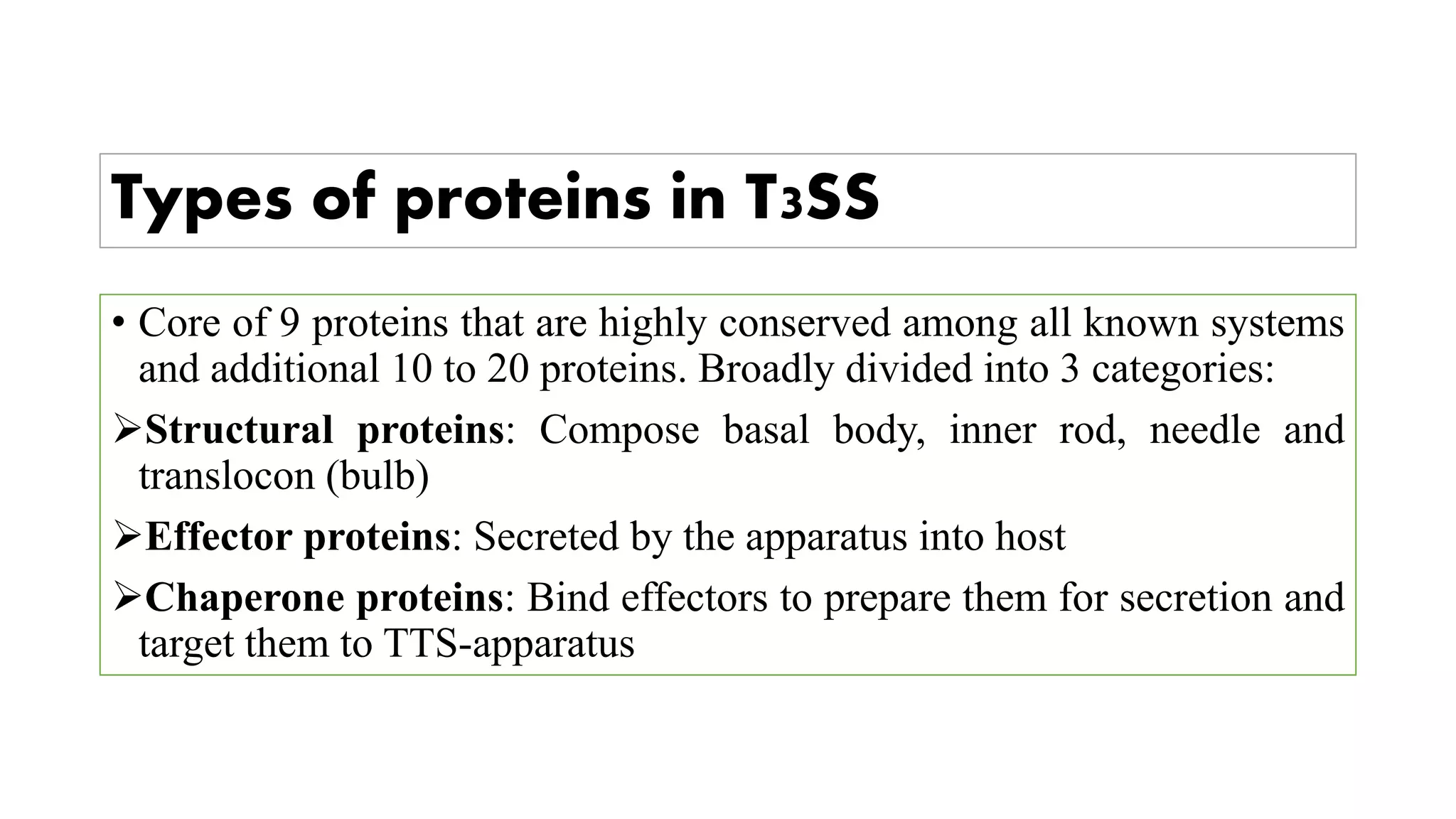 Type iii bacterial secretion system | PPTX