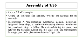 Type iii bacterial secretion system | PPTX