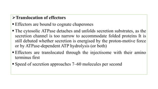Type iii bacterial secretion system | PPTX