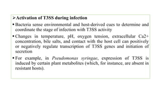 Type iii bacterial secretion system | PPTX