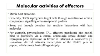 Type iii bacterial secretion system | PPTX
