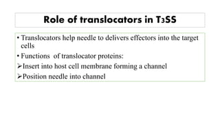 Type iii bacterial secretion system | PPTX