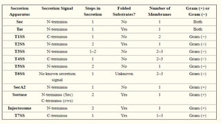 Type iii bacterial secretion system | PPTX