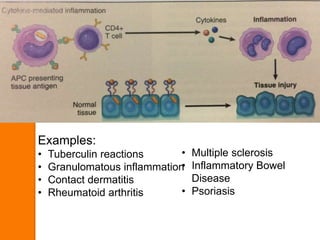 Type iv hypersensitivity reaction | PPTX
