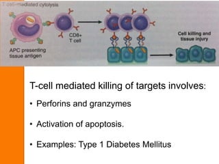 Type iv hypersensitivity reaction | PPTX