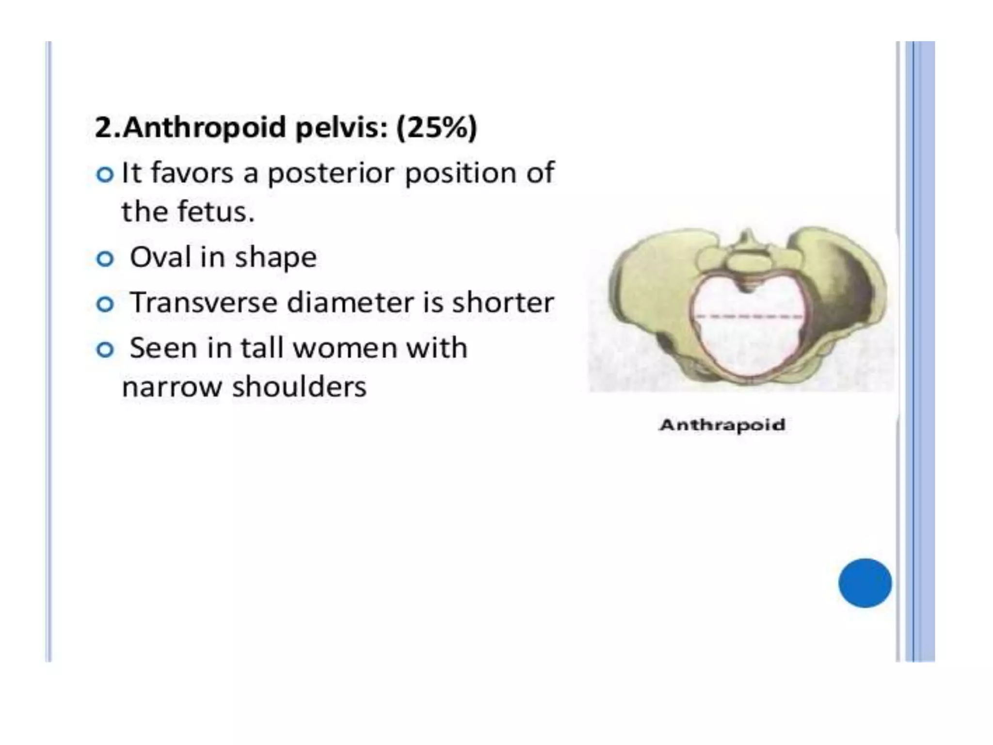 Type of-pelvis | PPT