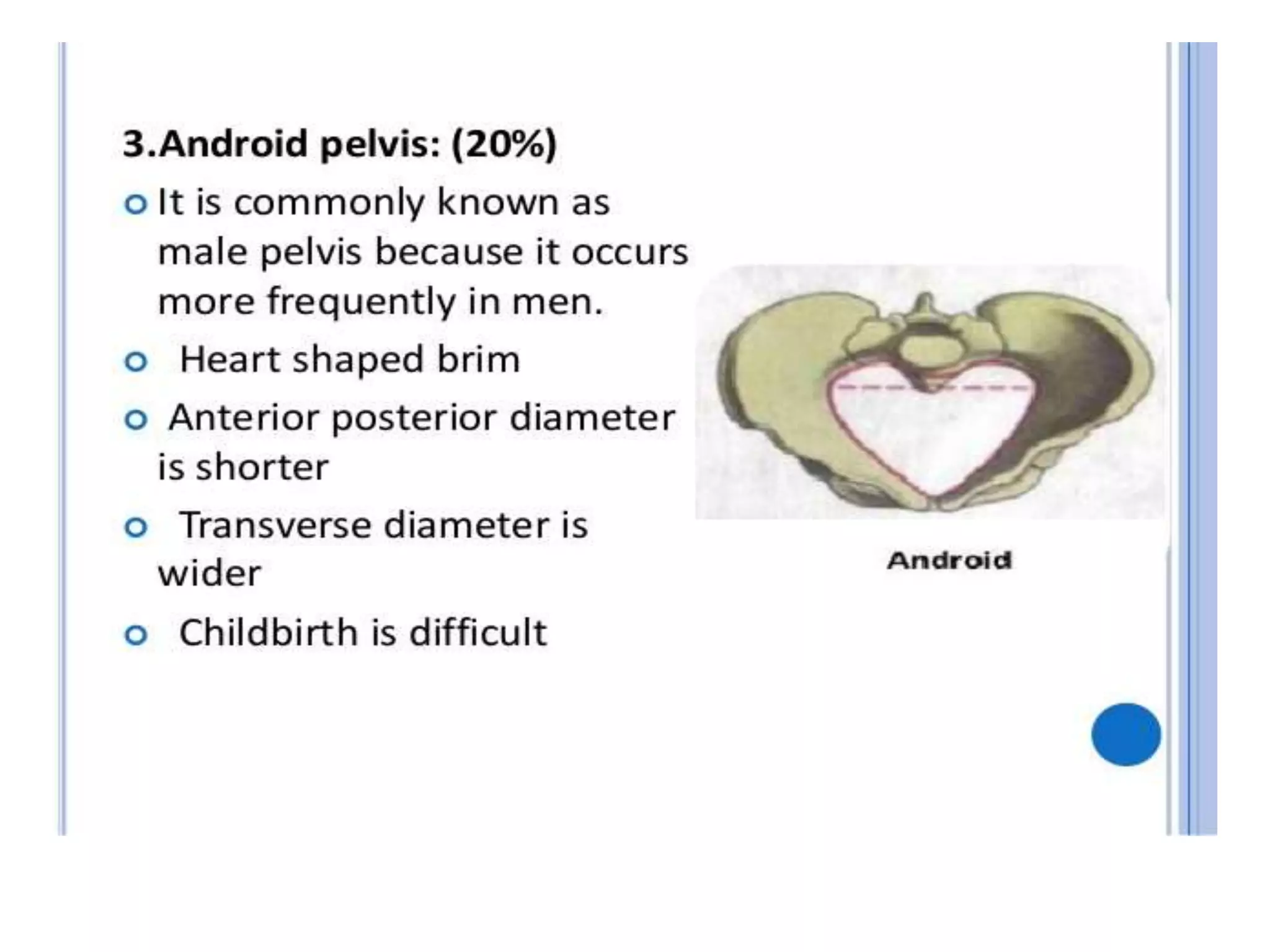 Type of-pelvis | PPT