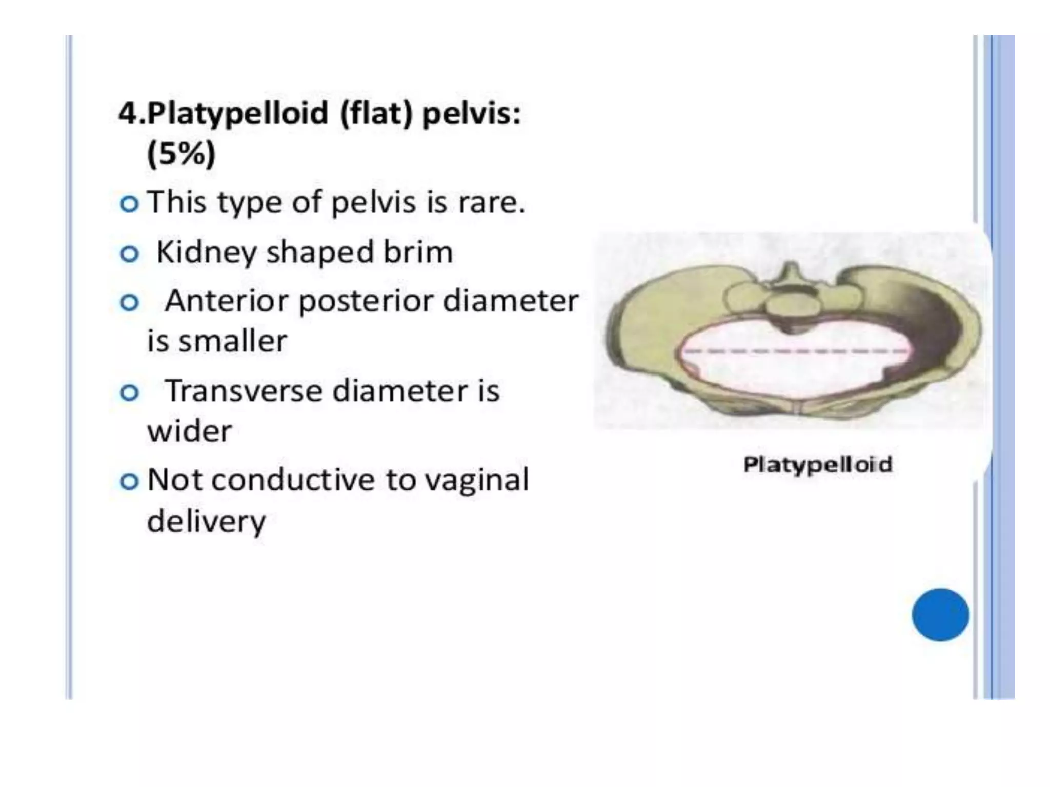 Type of-pelvis | PPT